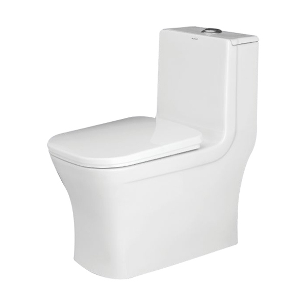 Abchauz | One Piece Washdown Toilet - Vega (P-Trap) - 180 mm